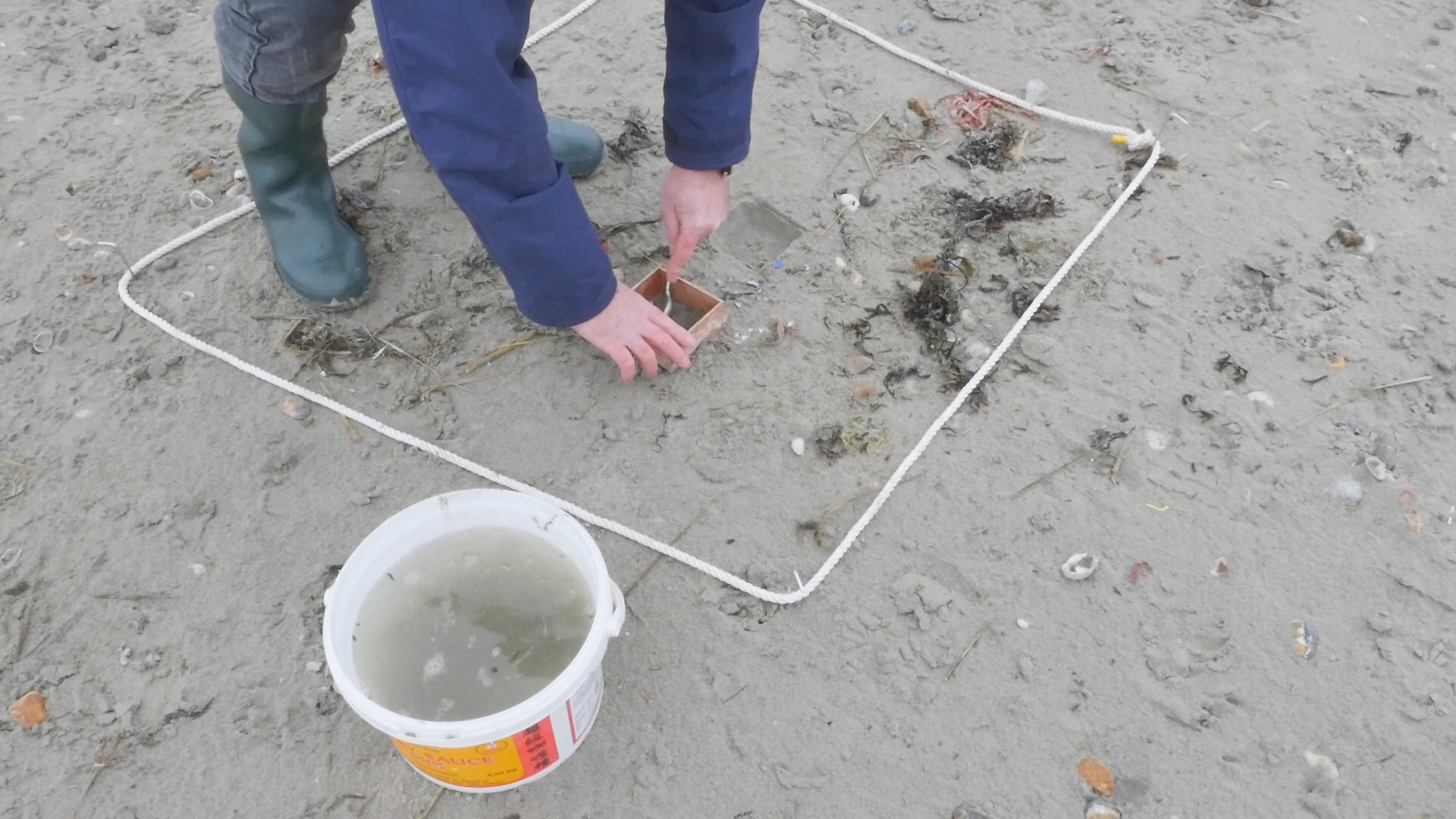 More about Microplastics and Coastal Sediments – Microplastic Survey