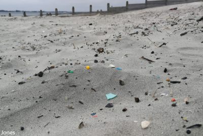 Microplastic Survey – Citizen science providing valuable research data