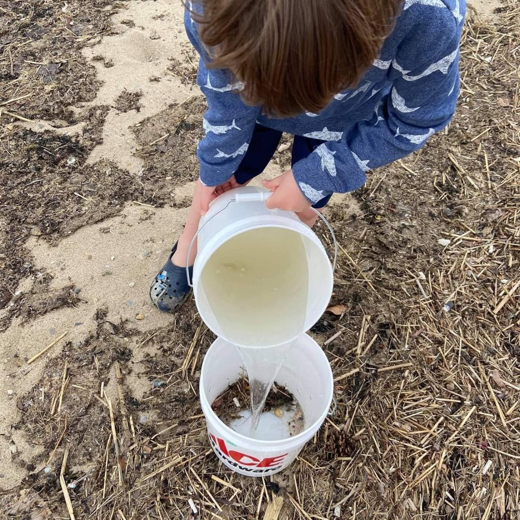 Analysing Data Samples – Microplastic Survey